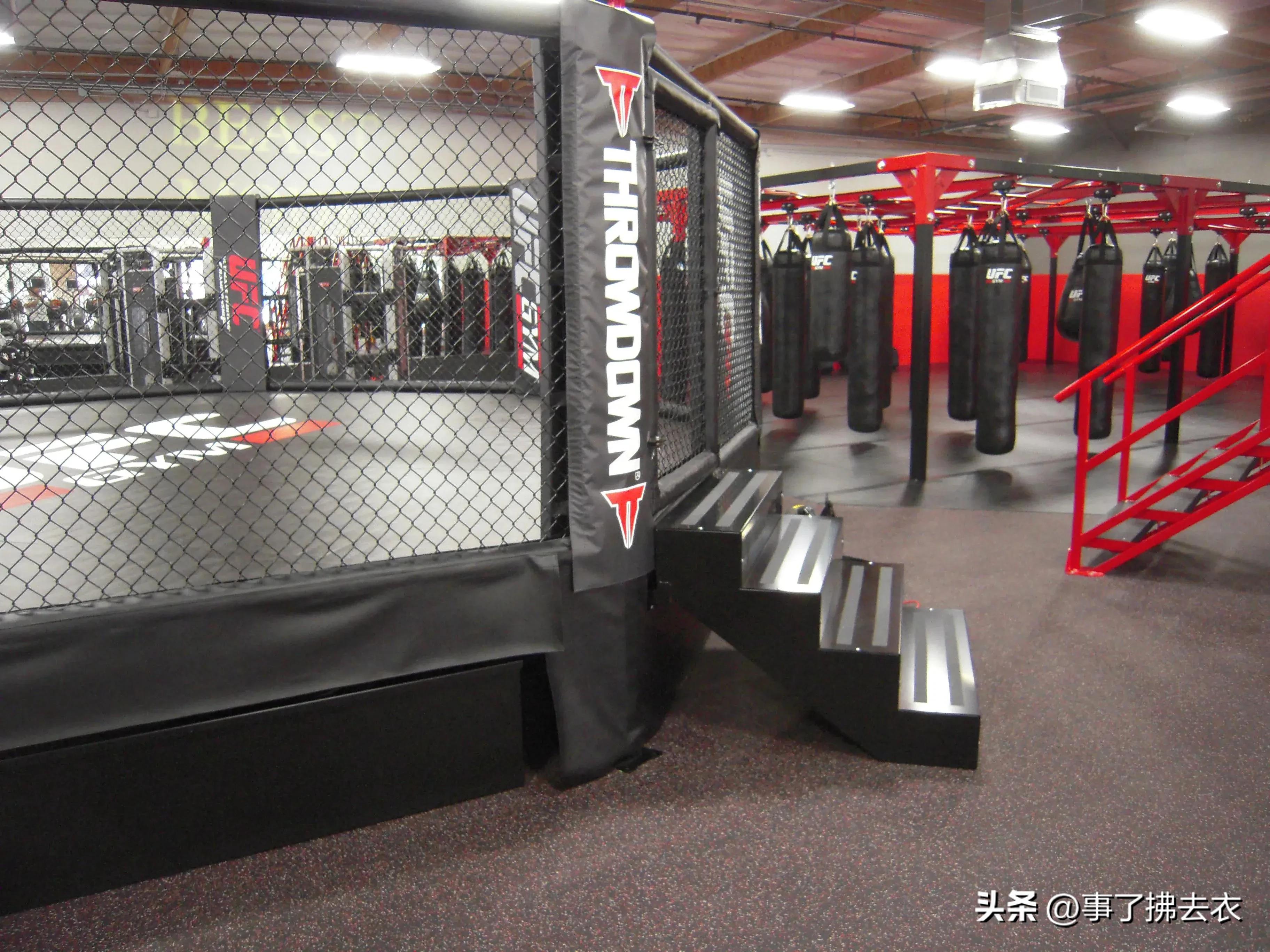 "In the Octagonal Cage": A Unique Exploration of Life Directed and ...