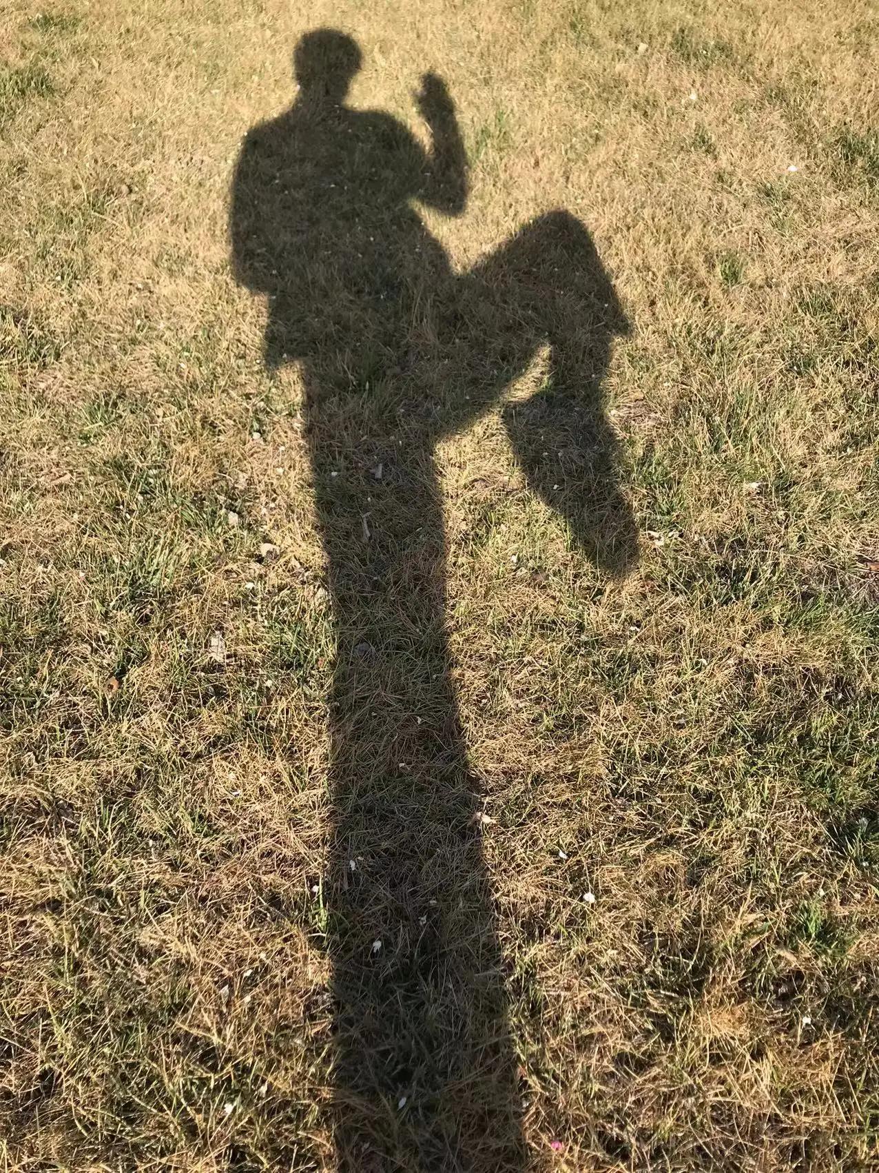 Spring silhouette - iNEWS