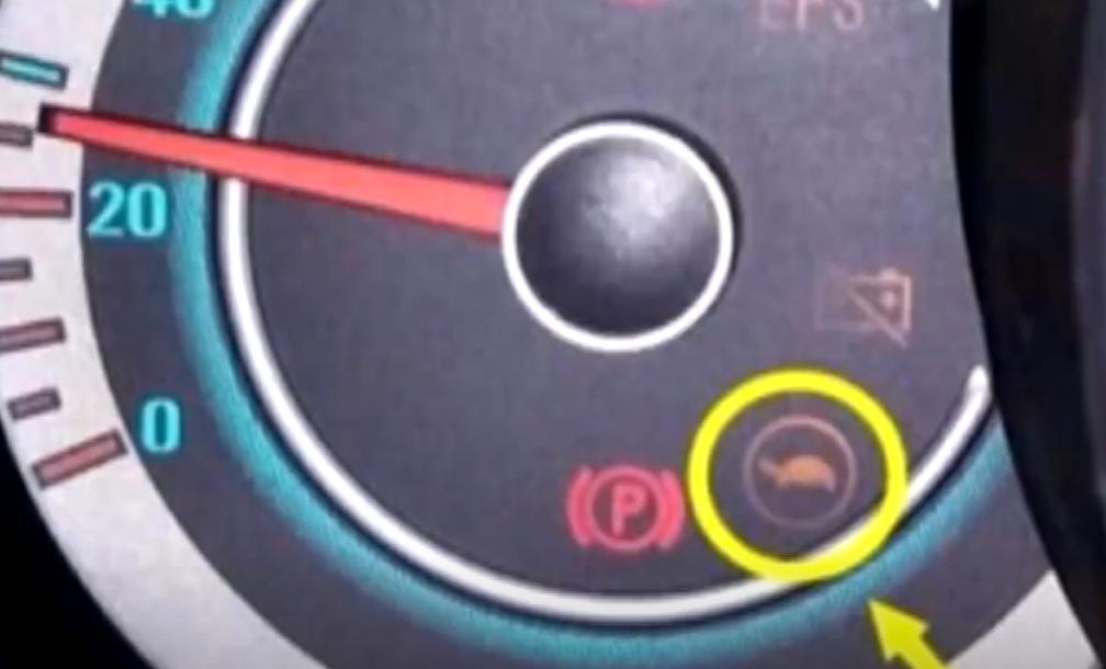 What does "turtle basking in the sun" on the dashboard of a car mean ...