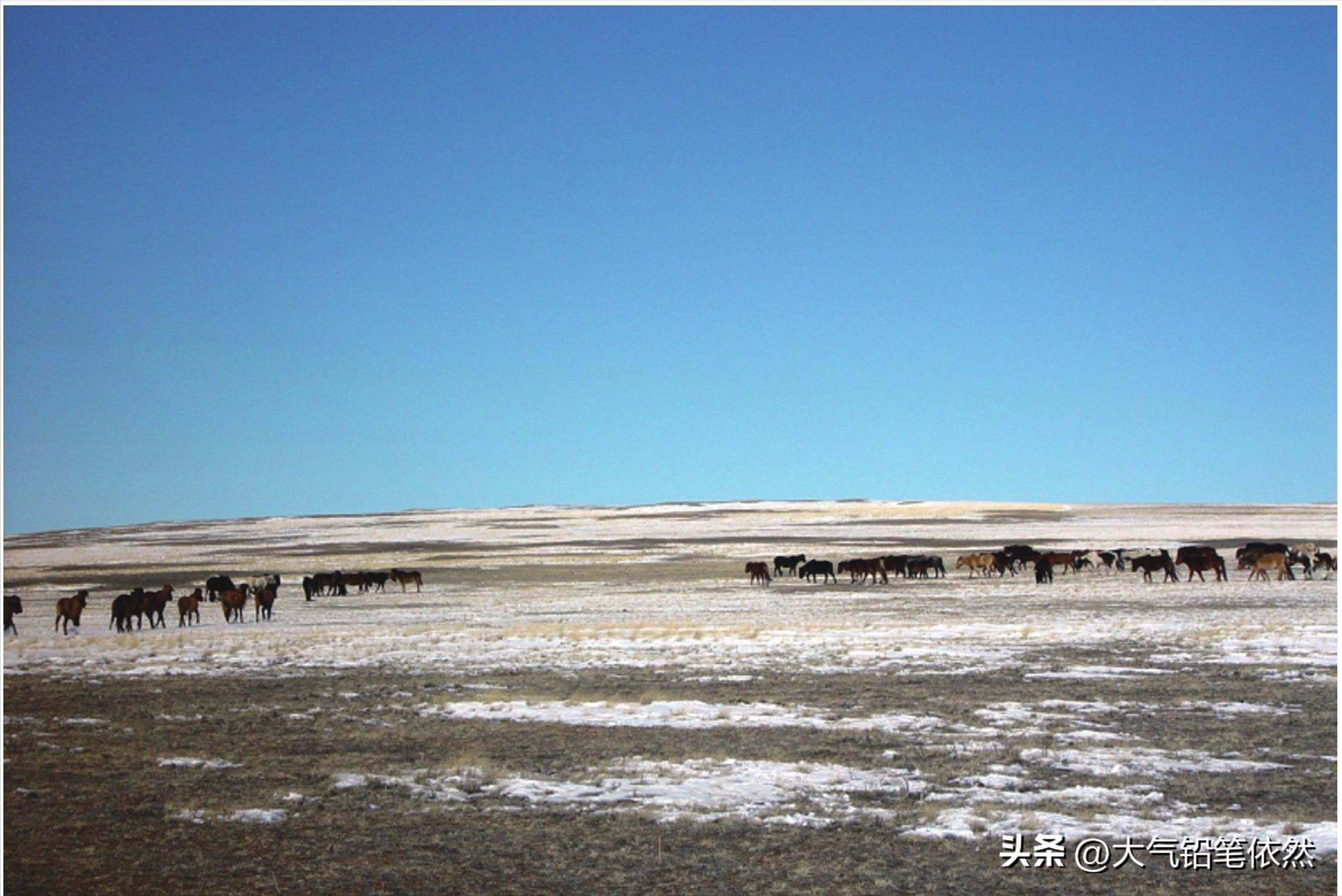 The establishment, expansion and division of the Xiongnu state in the 8th week - the choice of ...