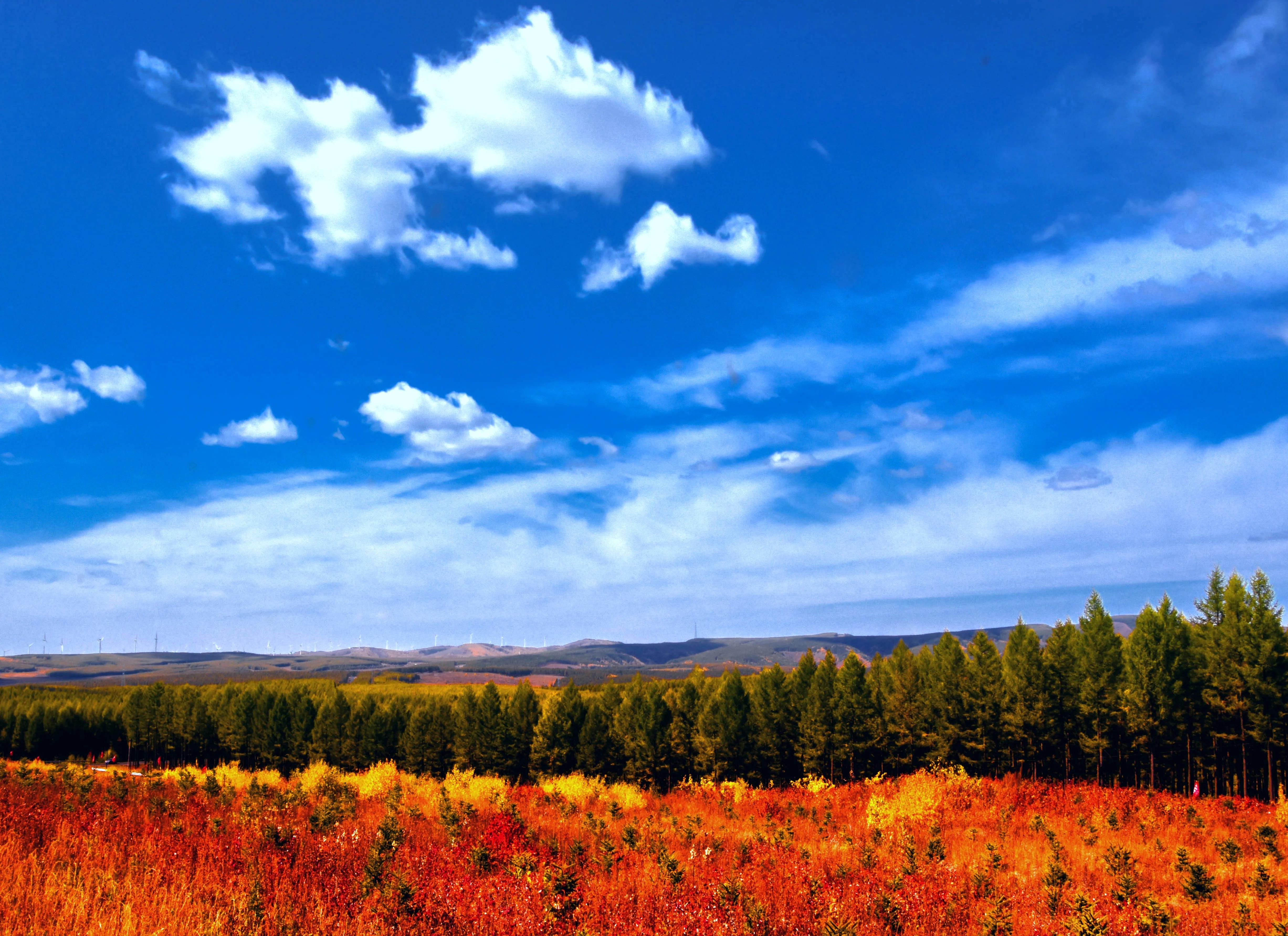 Mulan Autumn Hunting Paddock Saihanba - iMedia