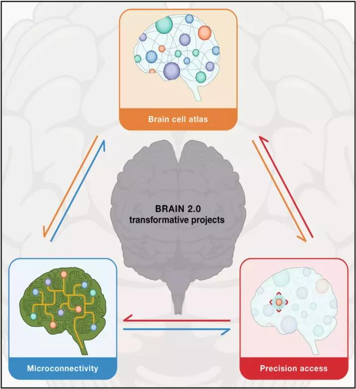 In the era of the American Brain Project 2.0, the Chinese Brain Project ...