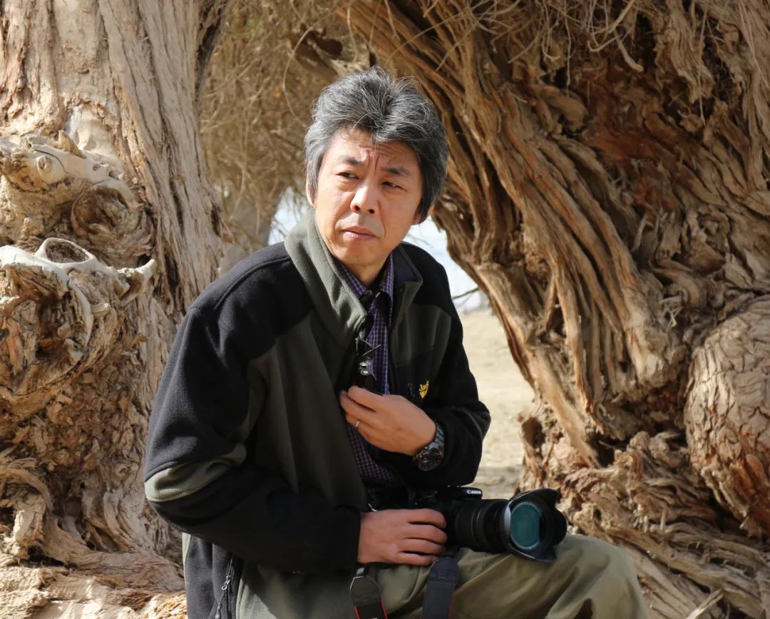 Guo Jiying: The Coloring of Heavy-color Paintings - iMedia