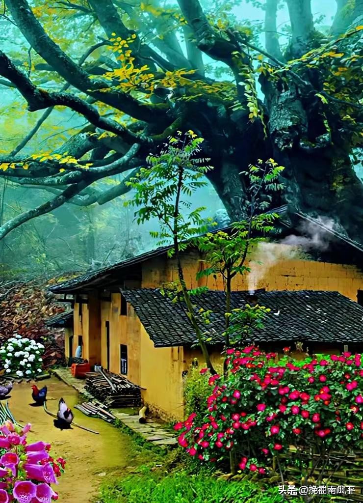 Is the ancient hermit life really as leisurely as imagined?not ...