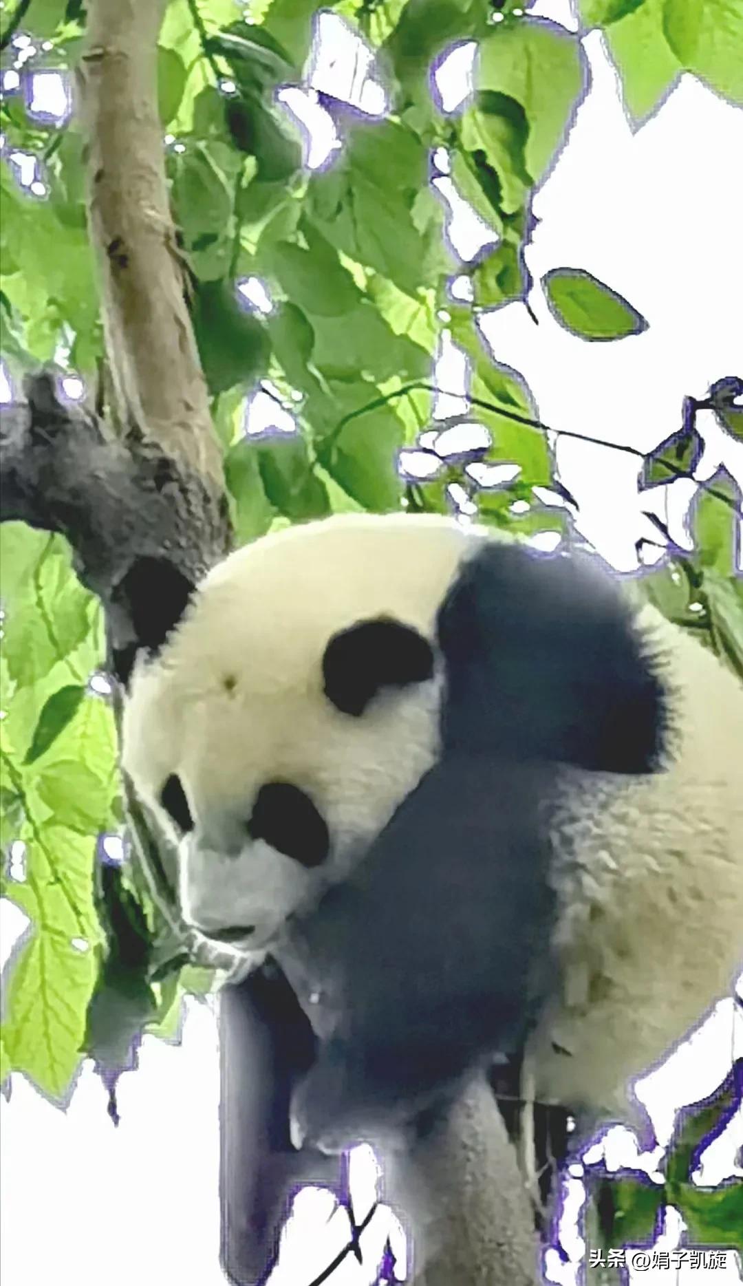 People have thousands of faces and hearts have thousands of changes - iNEWS