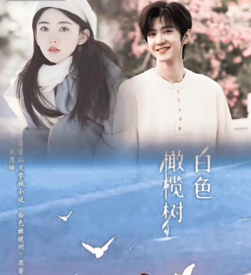 Chen Zheyuan and Liang Jie's new drama "White Olive Tree" started ...