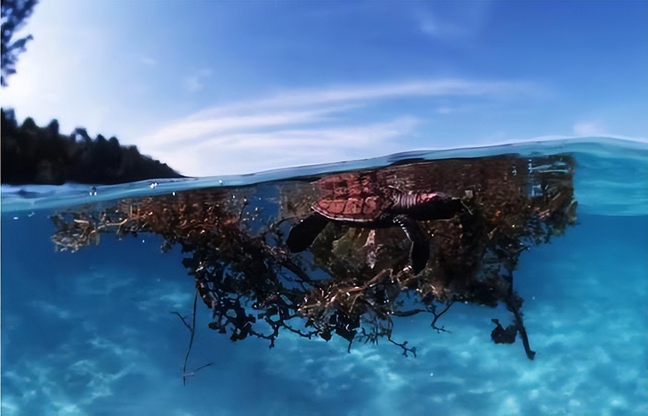 The most mysterious sea in the world - seemingly calm without waves ...
