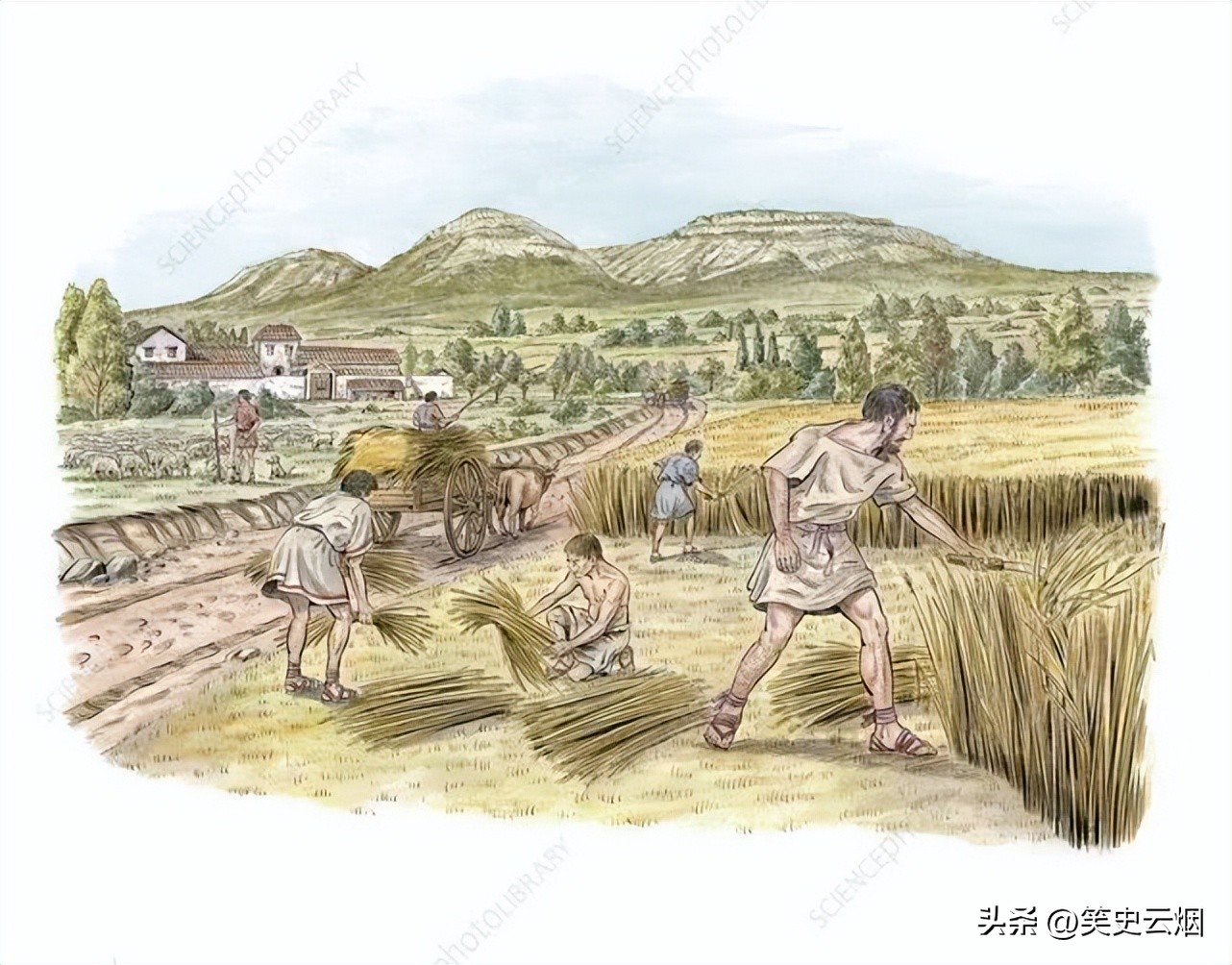Wheat crops in ancient Egypt: from the vitality of the Nile - iNEWS