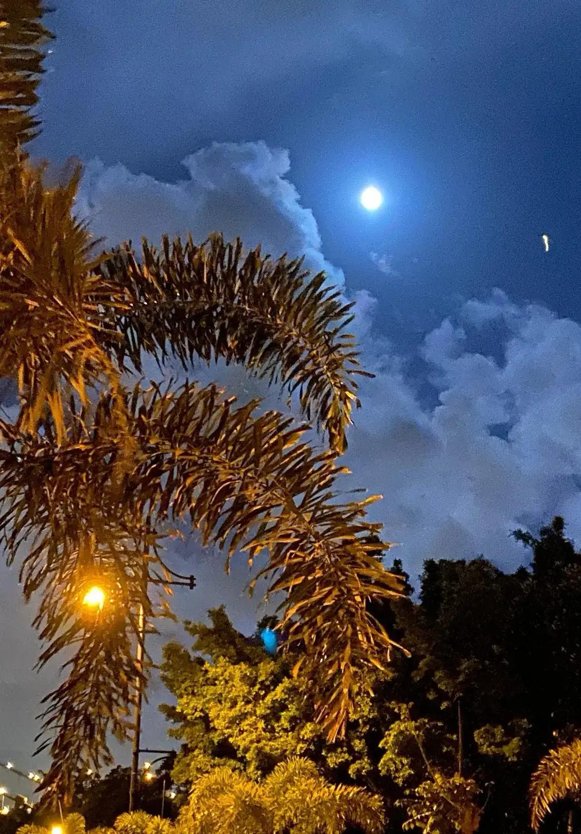 Seven Laws Mid-autumn Full Moon - iNEWS