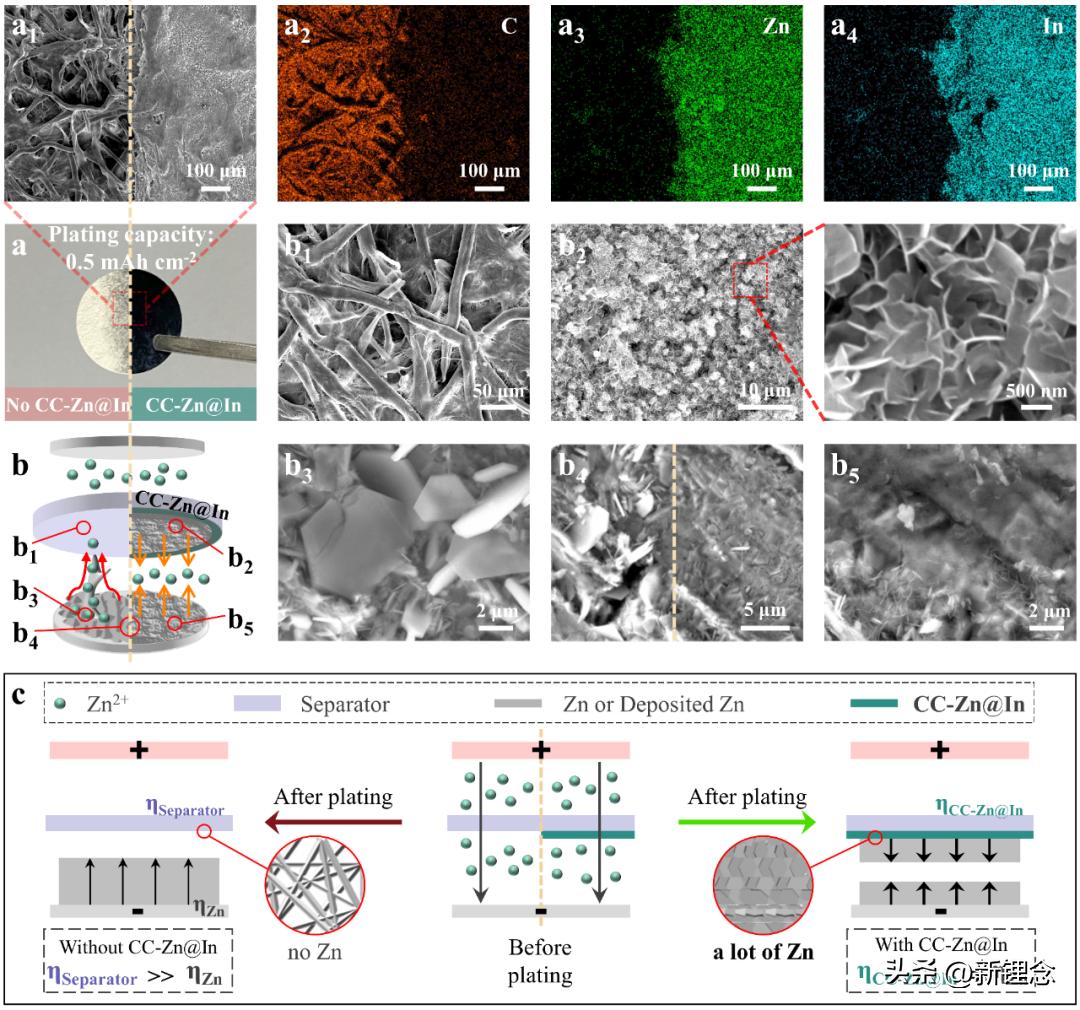 Bypassing zinc dendrites by contact-driven surfactant growth - iNEWS