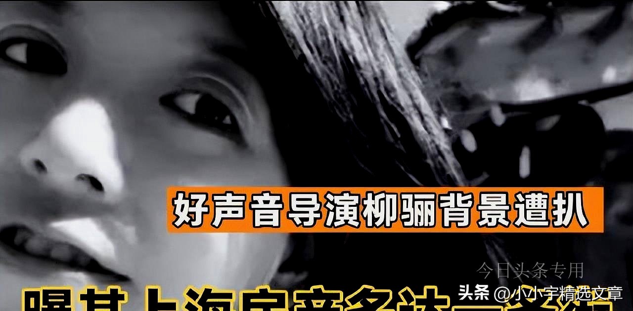 "The Voice" director Liu Li was tortured, and former contestants ...