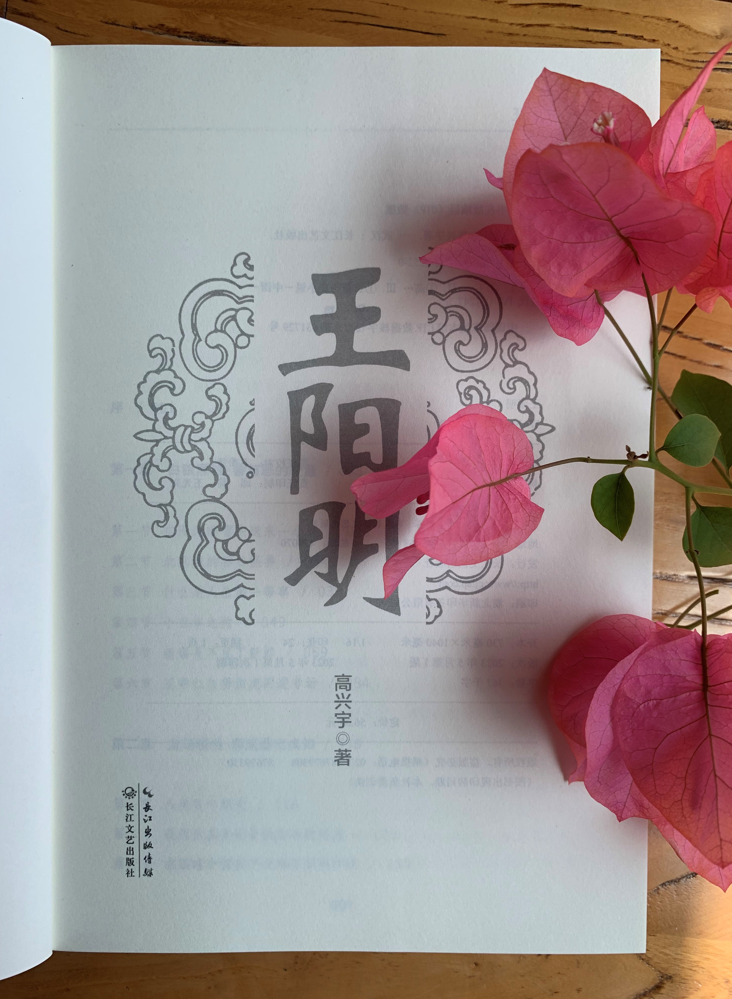 Sending a child in the snow all over the sky——Novel "Wang Yangming ...