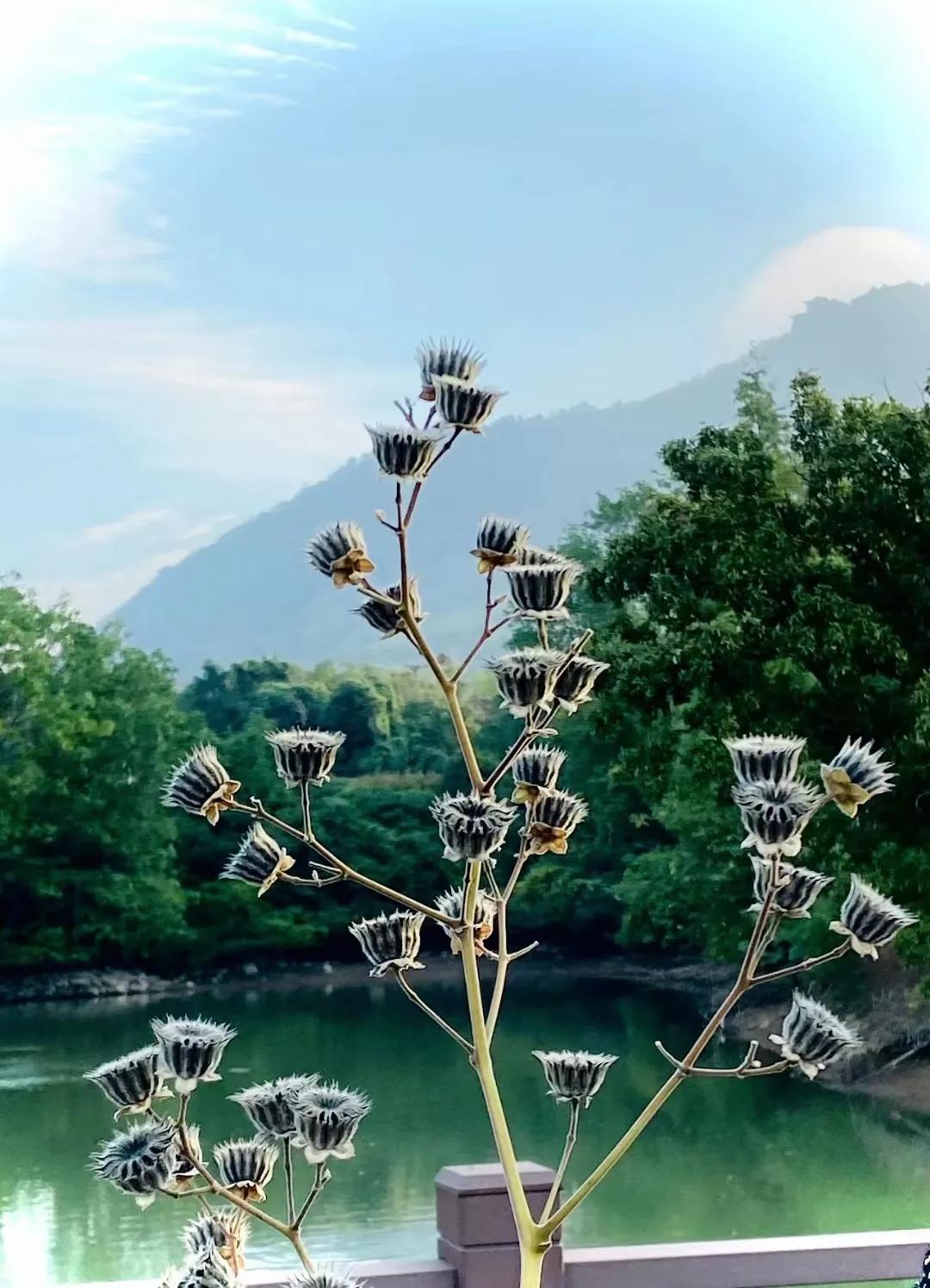 "Stable Storm" Love Autumn - iNEWS