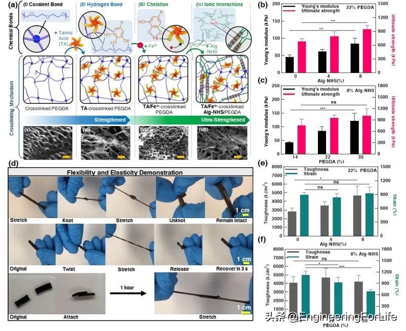 "Biomaterials": Super-adhesive "Band-Aid" for wet tissue wounds - iNEWS