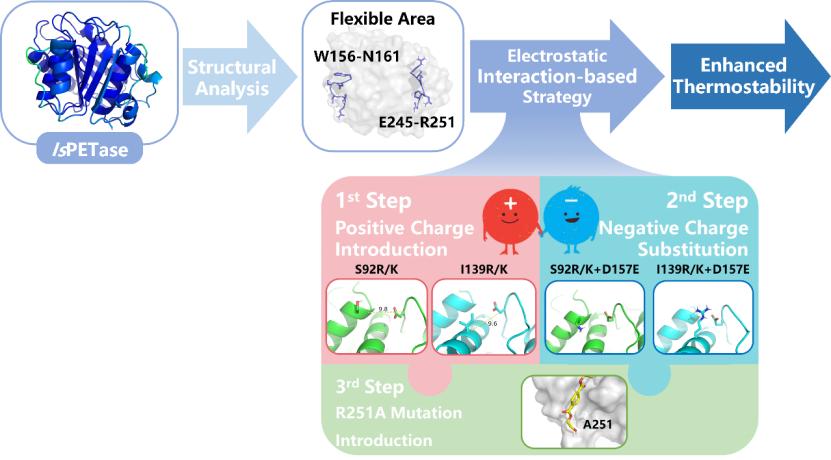 Tianjin University based on electrostatic interaction to enhance the ...