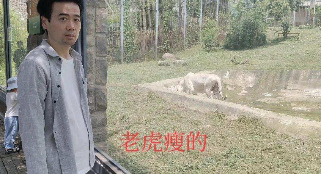 Suzhou Shangfangshan Forest Animal World - iMedia