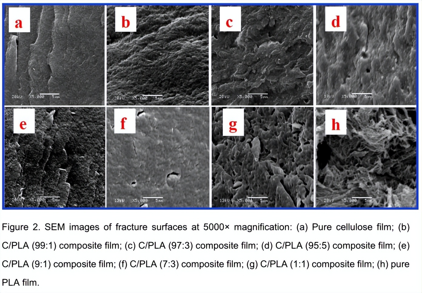 Homogeneous cellulose/polylactic acid membrane with biocompatibility ...