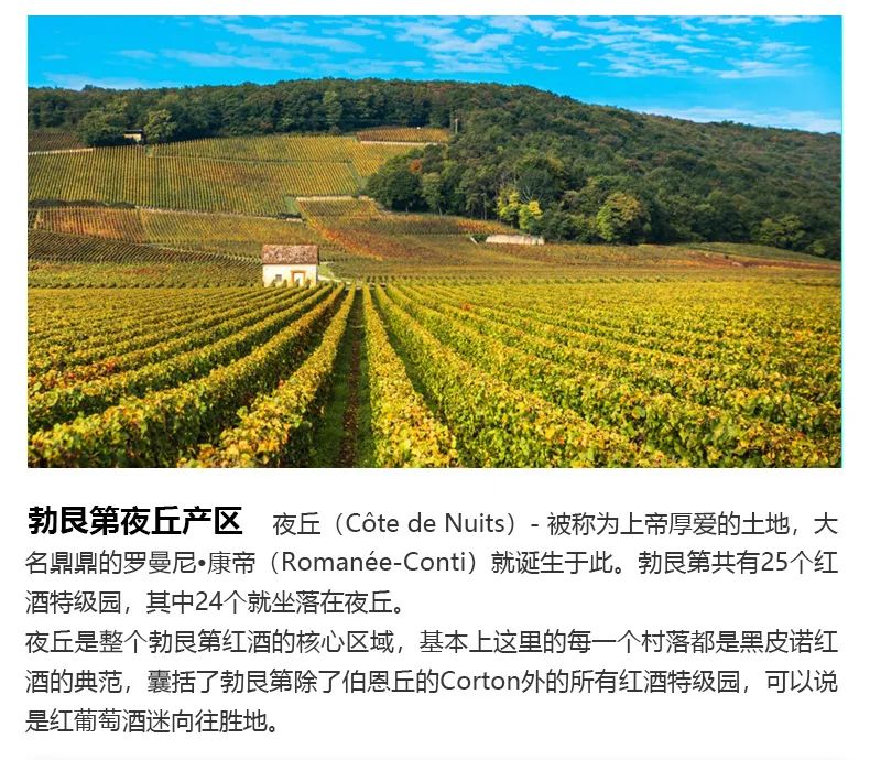 [Fazhuang] Morris Gentleman Winery Fixan Village-Brand and Production ...