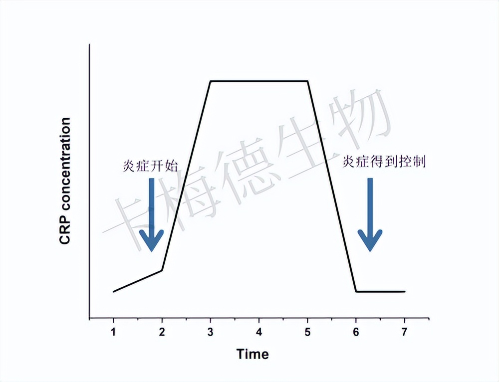 Introduction to C-reactive protein (CRP) - iNEWS