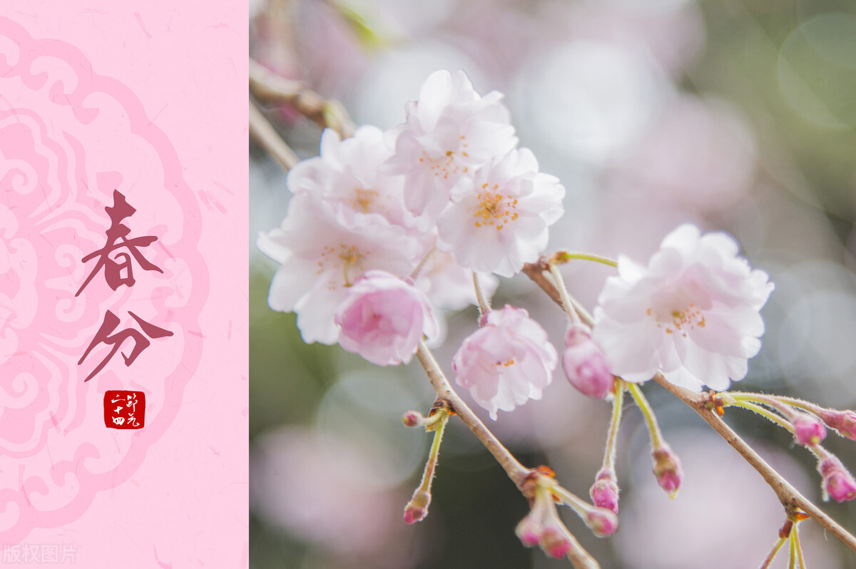 The vernal equinox is here, "There is rain on the vernal equinox until ...
