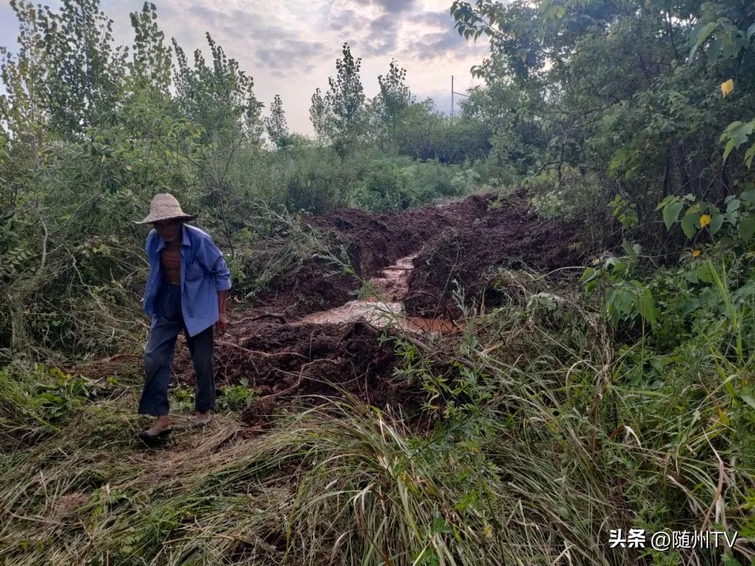 Do everything possible to fight drought - iNEWS