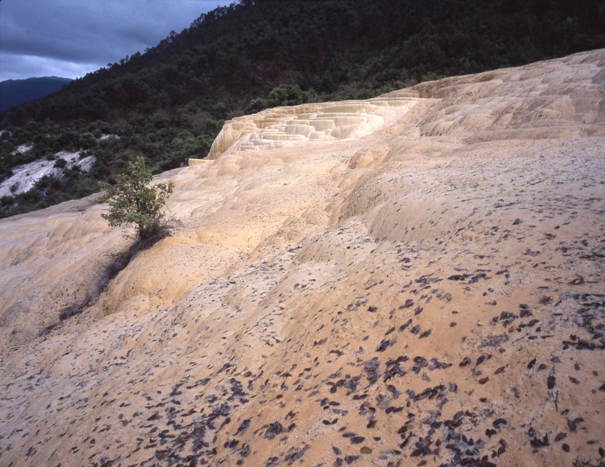 The Influence of "Liu Hu School" on Chinese Confucianism - iMedia