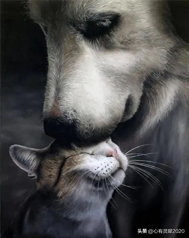 Italian artist Ivan Pili, whose visual feast of characters full of "big ...