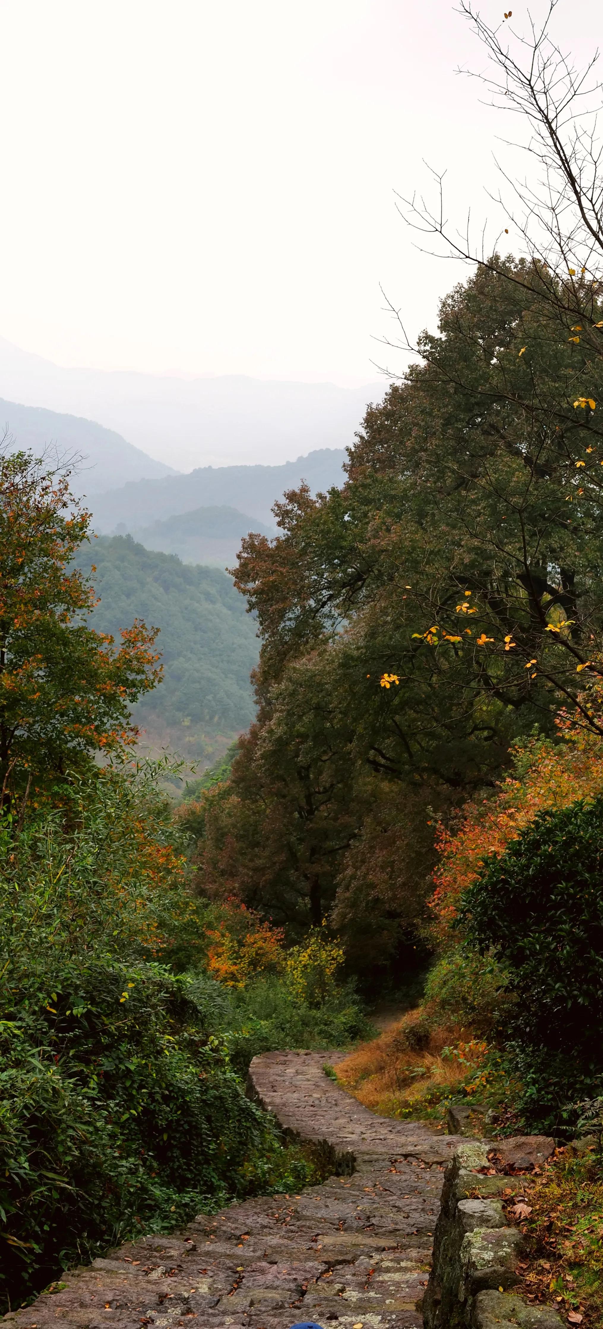The Most Beautiful Autumn Ancient Trail: Hiking the Taoyanling Ancient ...