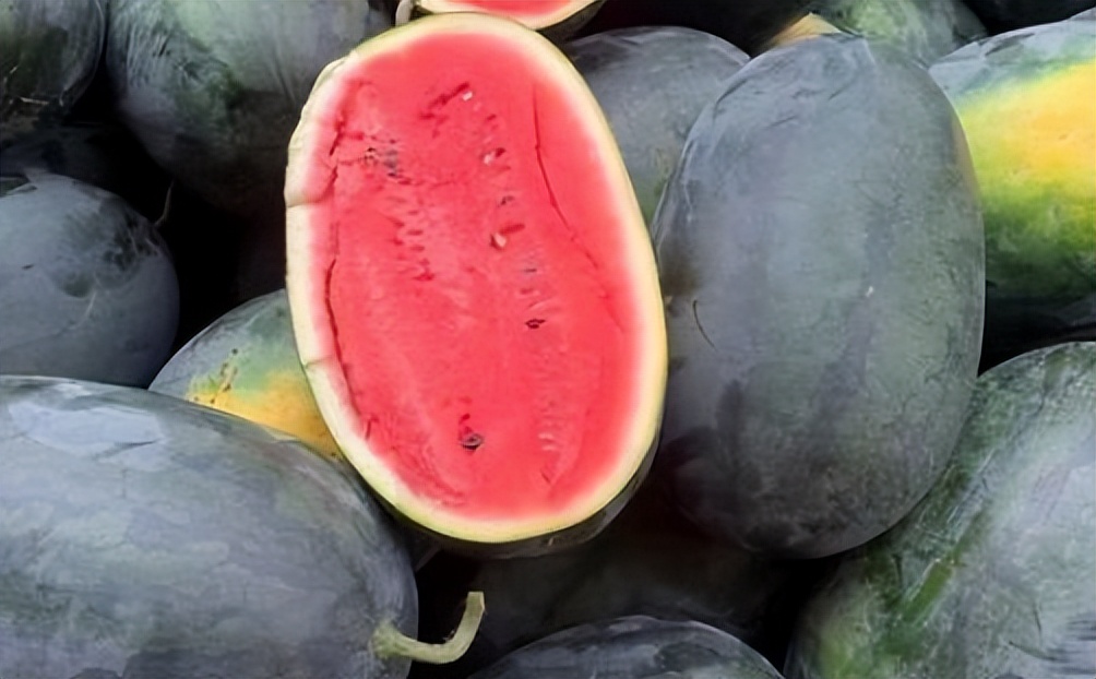 Is Black Beauty Watermelon Poisonous? - iNEWS