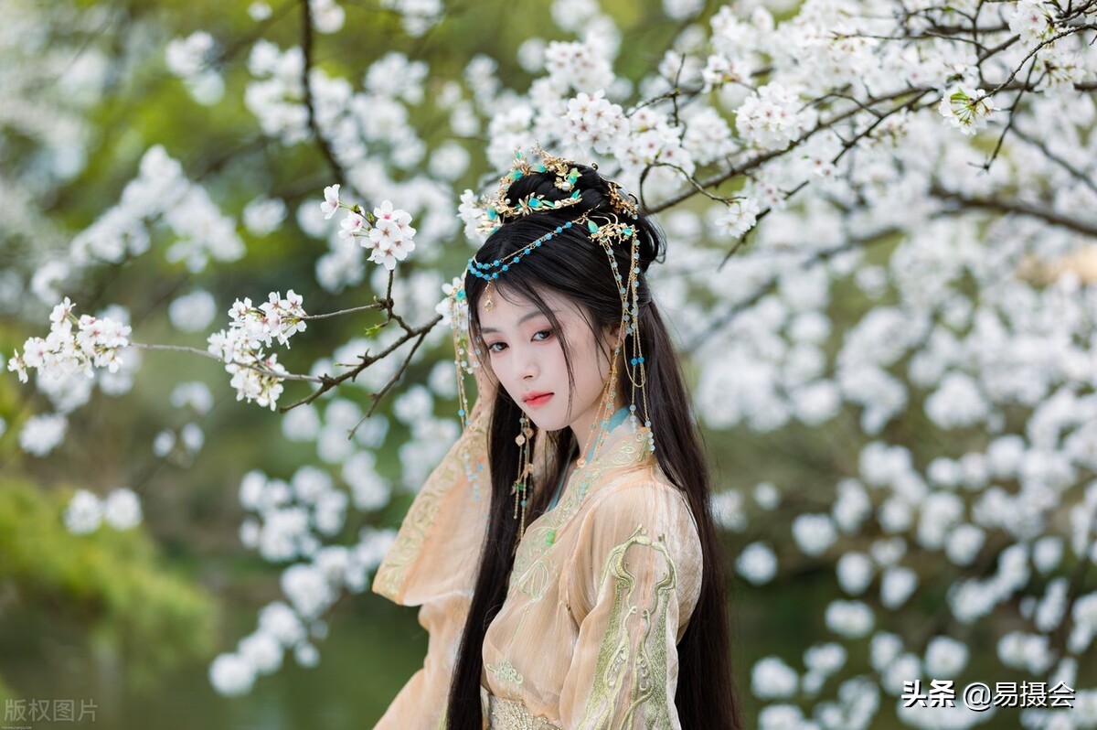 Picture appreciation-beautiful Hanfu under the cherry tree - iNEWS