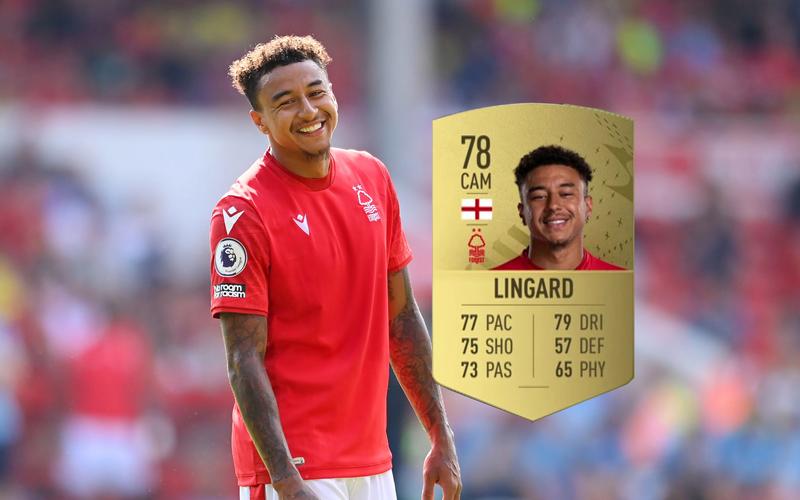 Last year's official announcement of the recent situation of many ...