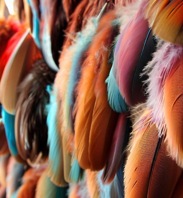 Beautiful feather art, feather products in Paracas, the gorgeous world ...