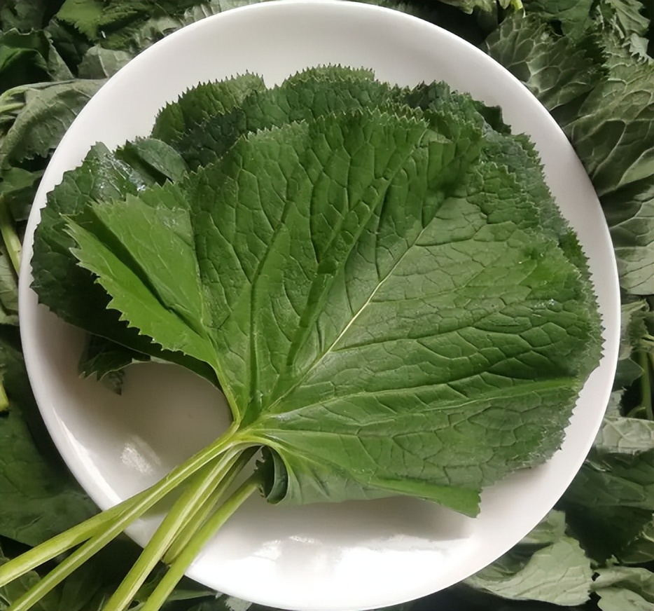 In ancient times, it was called the "king of a hundred vegetables". It ...