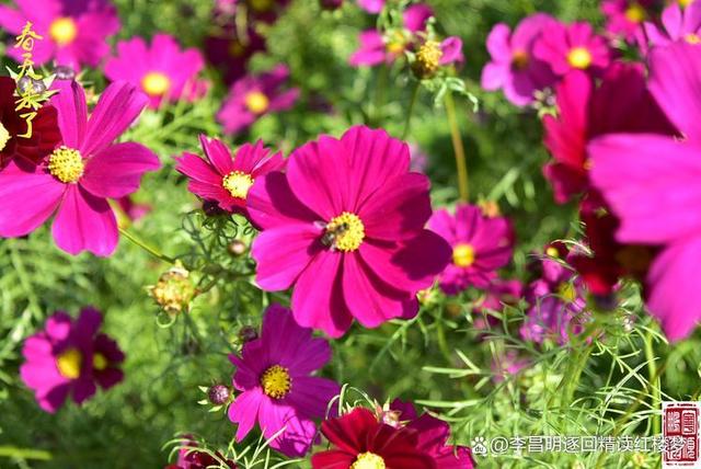 Unforgettable meaning - spring memory - iNEWS