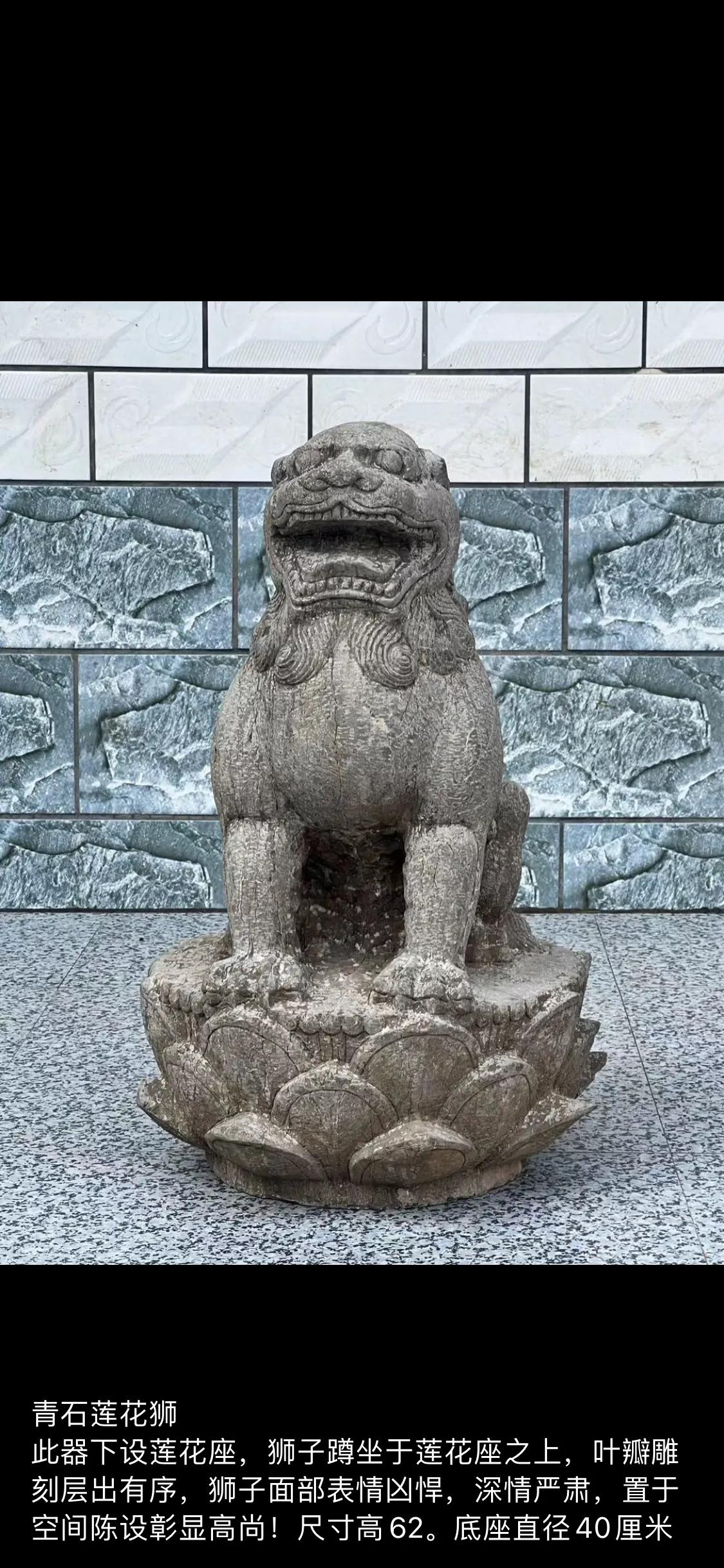 Bluestone Lotus Lion - iNEWS