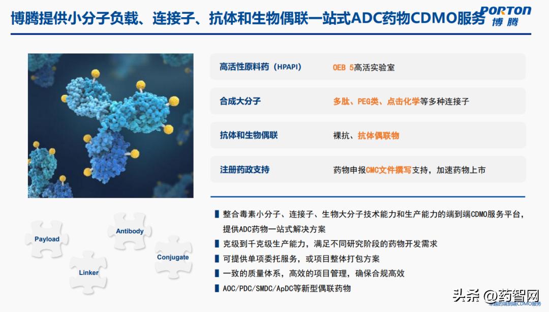 A key tool for ADC drug development: the role of CDMO in process optimization - iMedia
