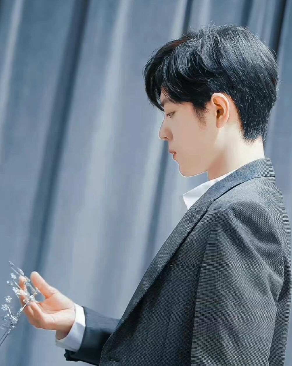 Xiao Zhan's face is amazing on the live broadcast, Lang Yue Qingfeng ...