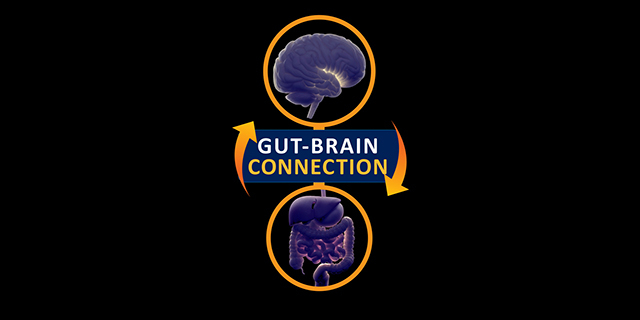 Nature and Sub-Journal Breakthrough in Gut-Brain Axis: Targeting ...