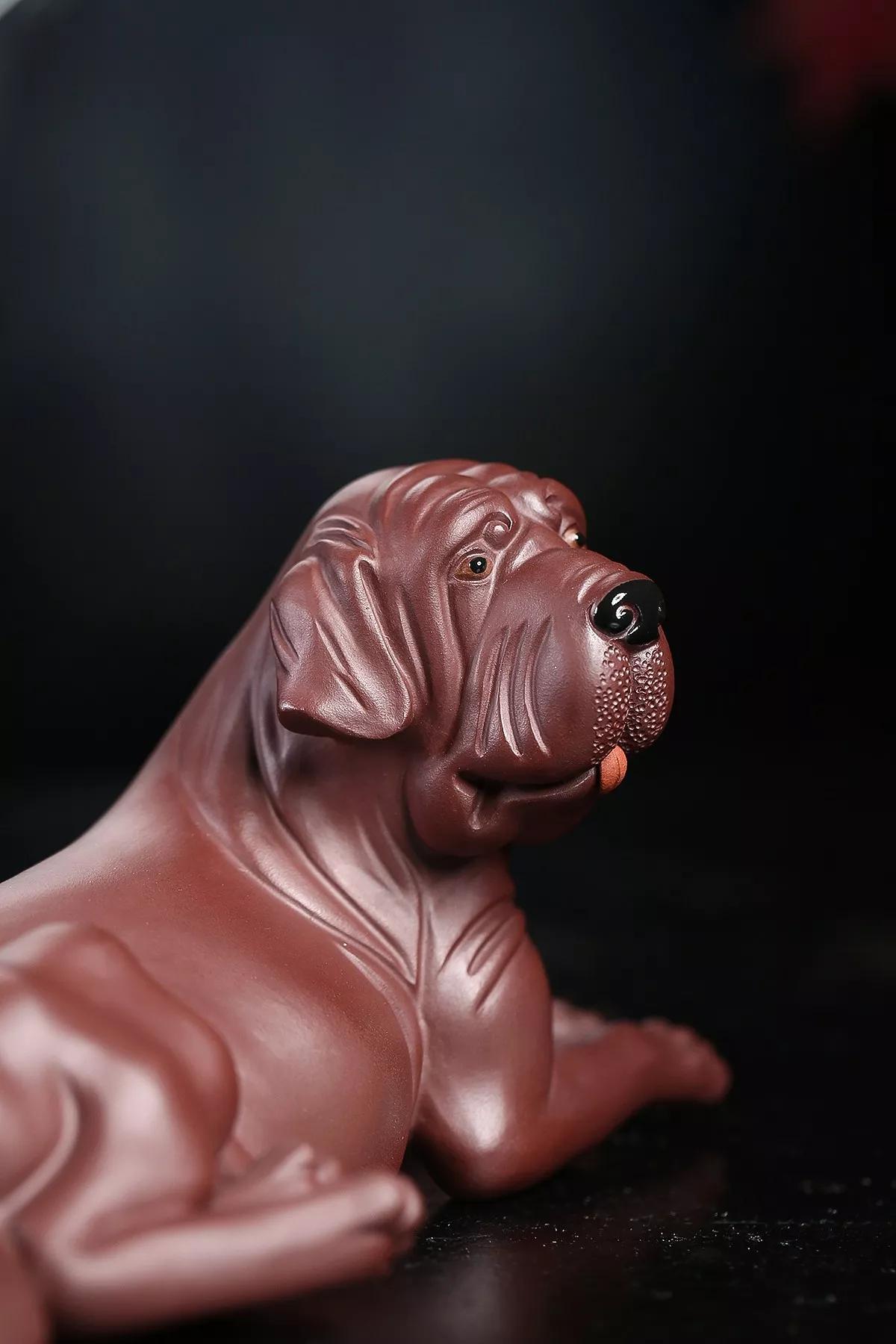 Shapi Wangcai, have you seen it? - iNEWS