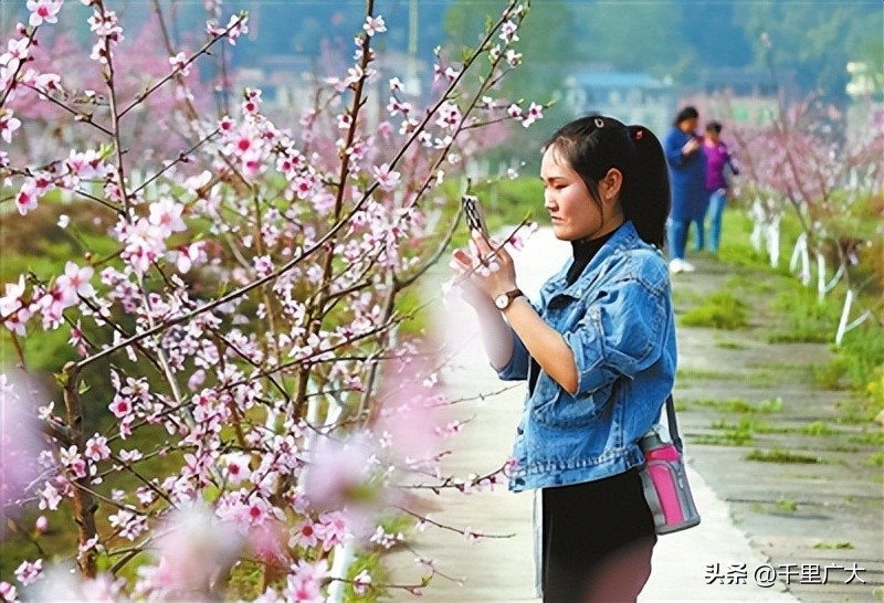 Liangping, Chongqing: Blooming flowers in spring are waiting for ...