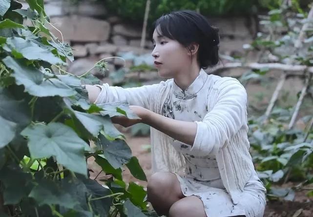 After Li Ziqi stopped updating for a year, in September, he attracted ...