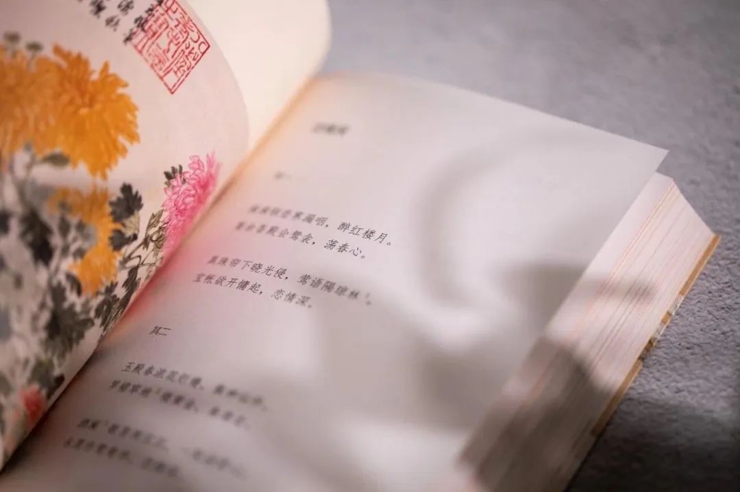 Chisu came from three numbers to send a message to your heart (poems ...