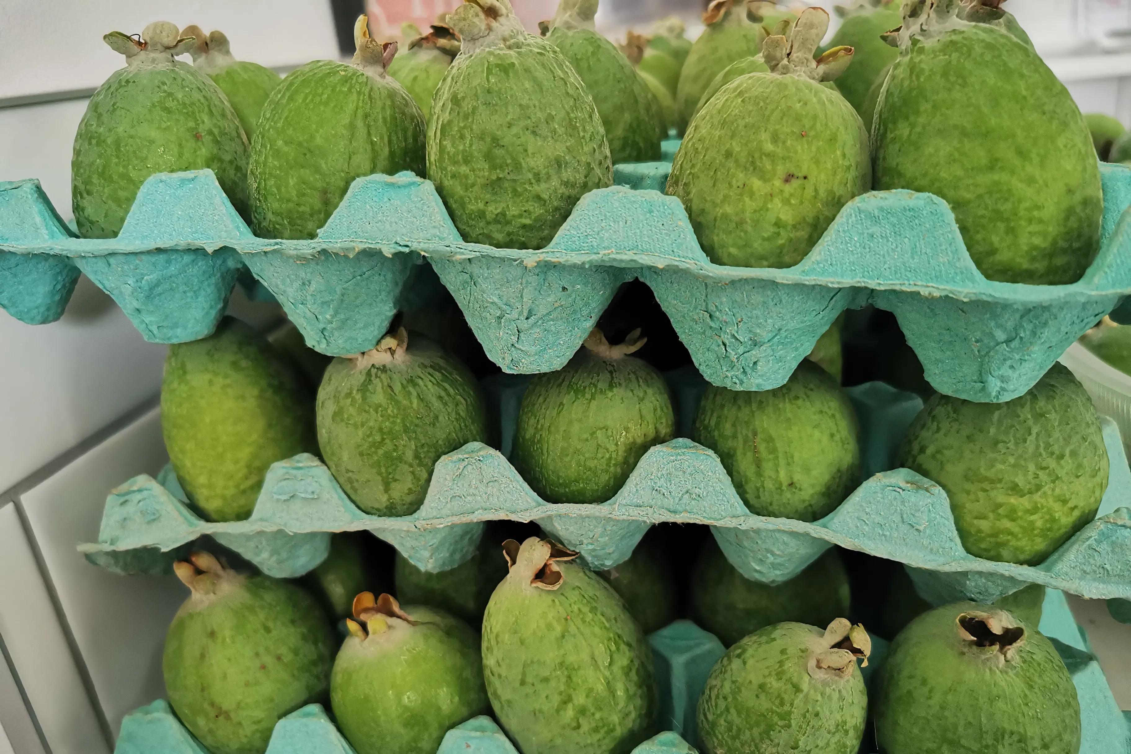 New Zealand in March, Fiji fruit, known as the king of fruit, is ...