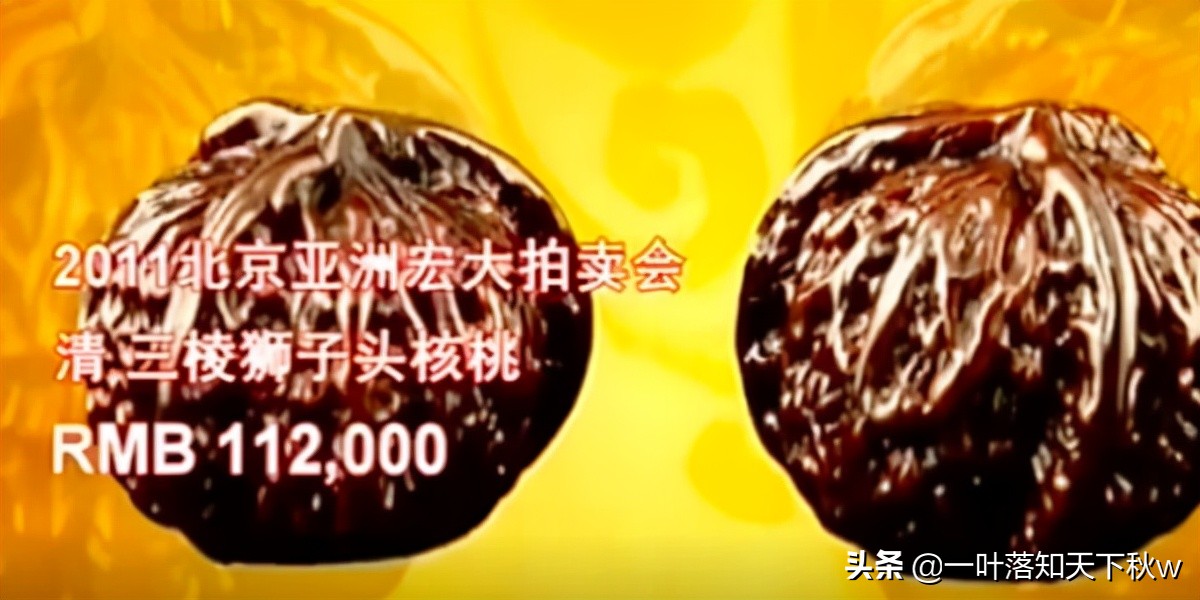 The world's most expensive pair of walnuts: estimated to be worth 1 ...