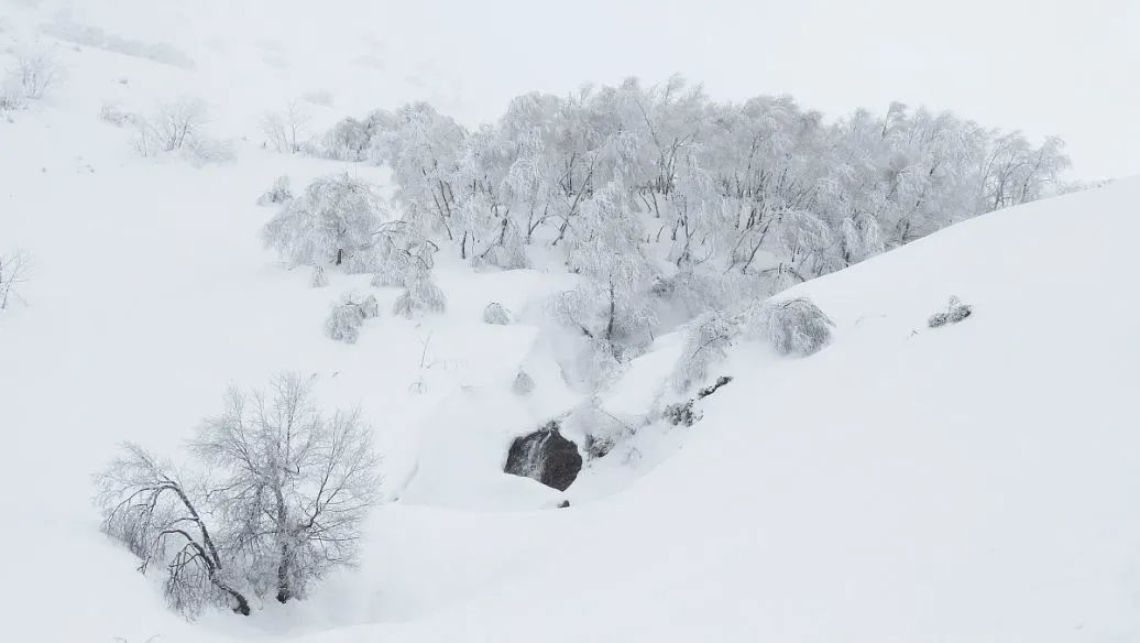 The most beautiful work of the Nobel Prize in Literature "Snow Country ...