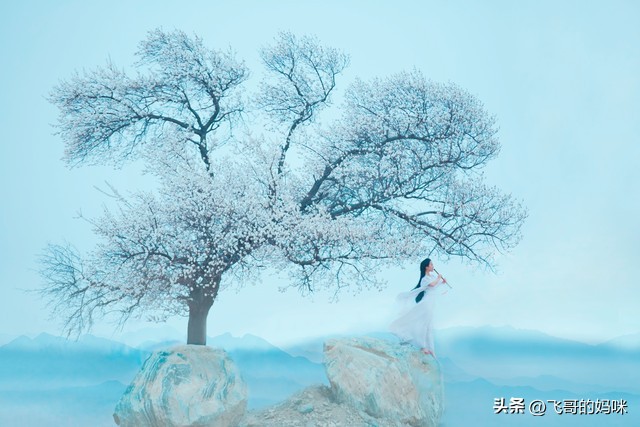 I think Po Meng is the monster with the most sense of justice in "The ...