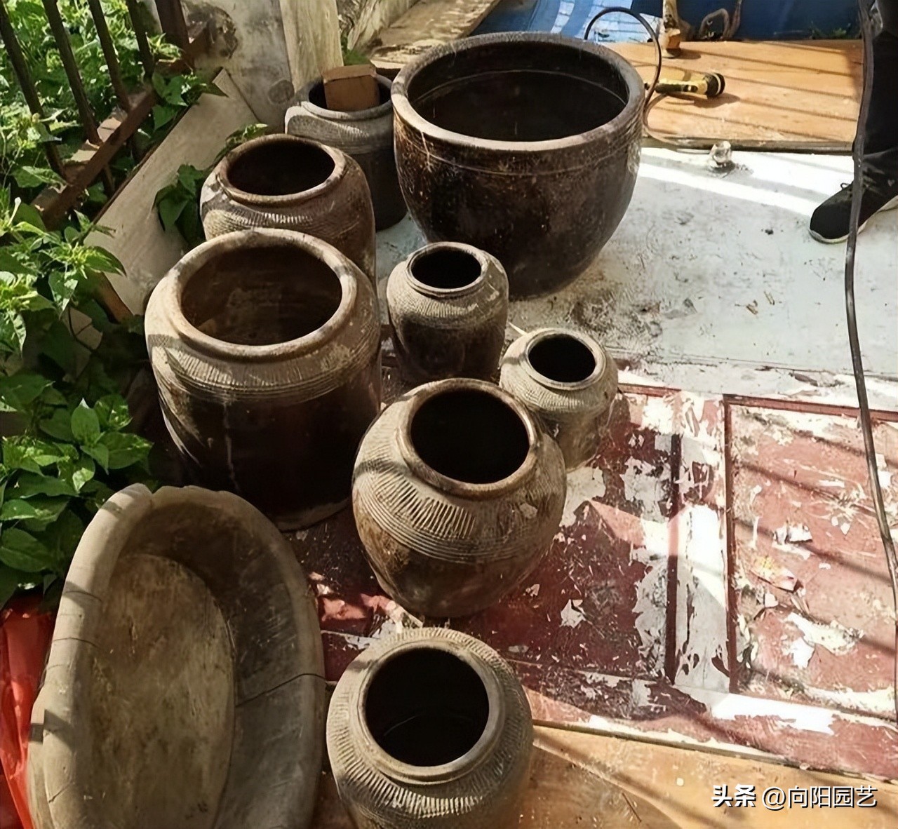 The broken pickle jars picked up by the roadside, make a bottom hole ...