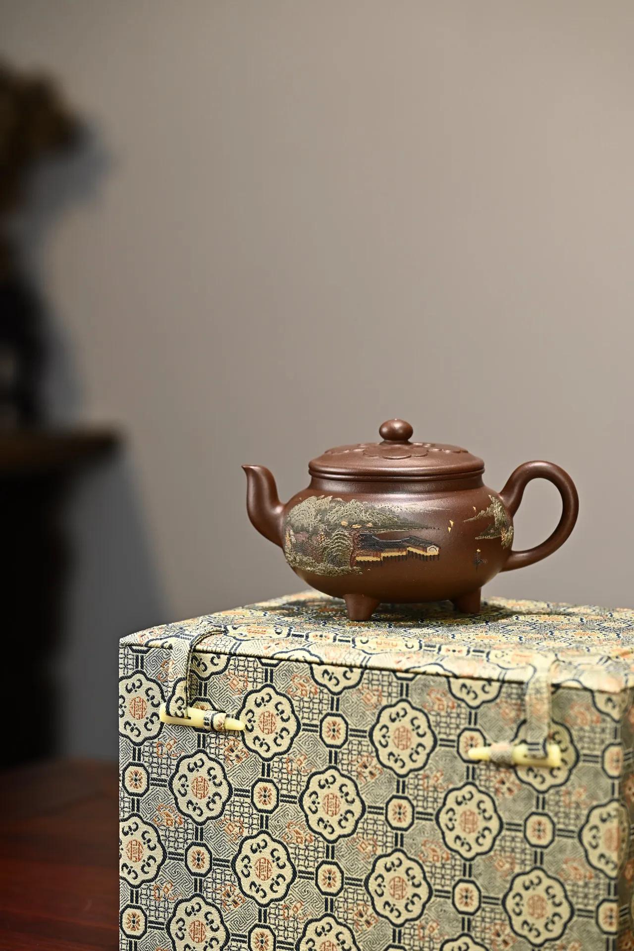 Acacia, Dabin Ruyi, Jade Wall, Brocade Begonia, Lotus Seed Pot - iNEWS