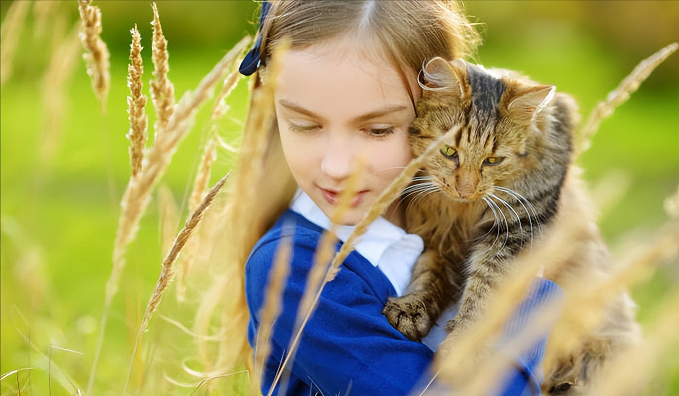 I'm not afraid to tell you: People who keep cats for a long time will ...