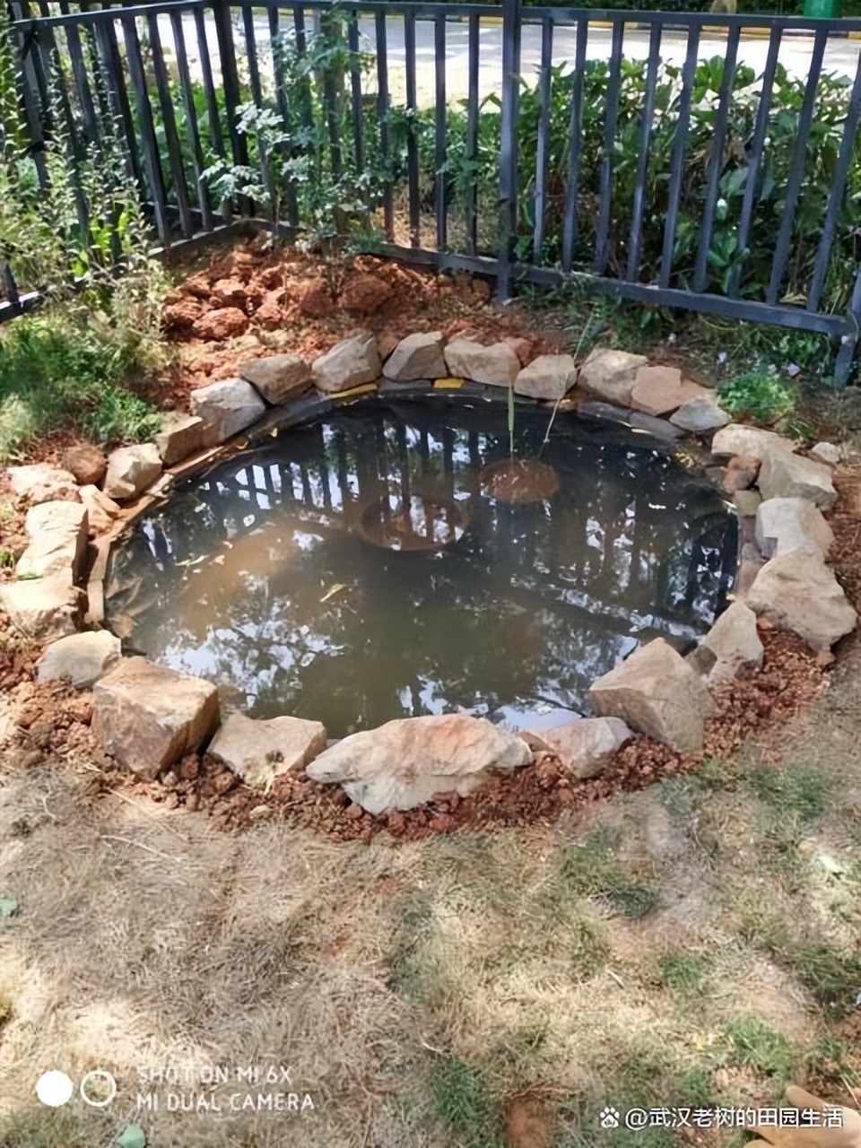 Do-it-yourself garden natural fish pond - iNEWS